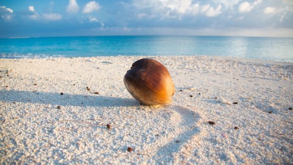 How To Implement A Bottom Sheet In React Native Instamobile